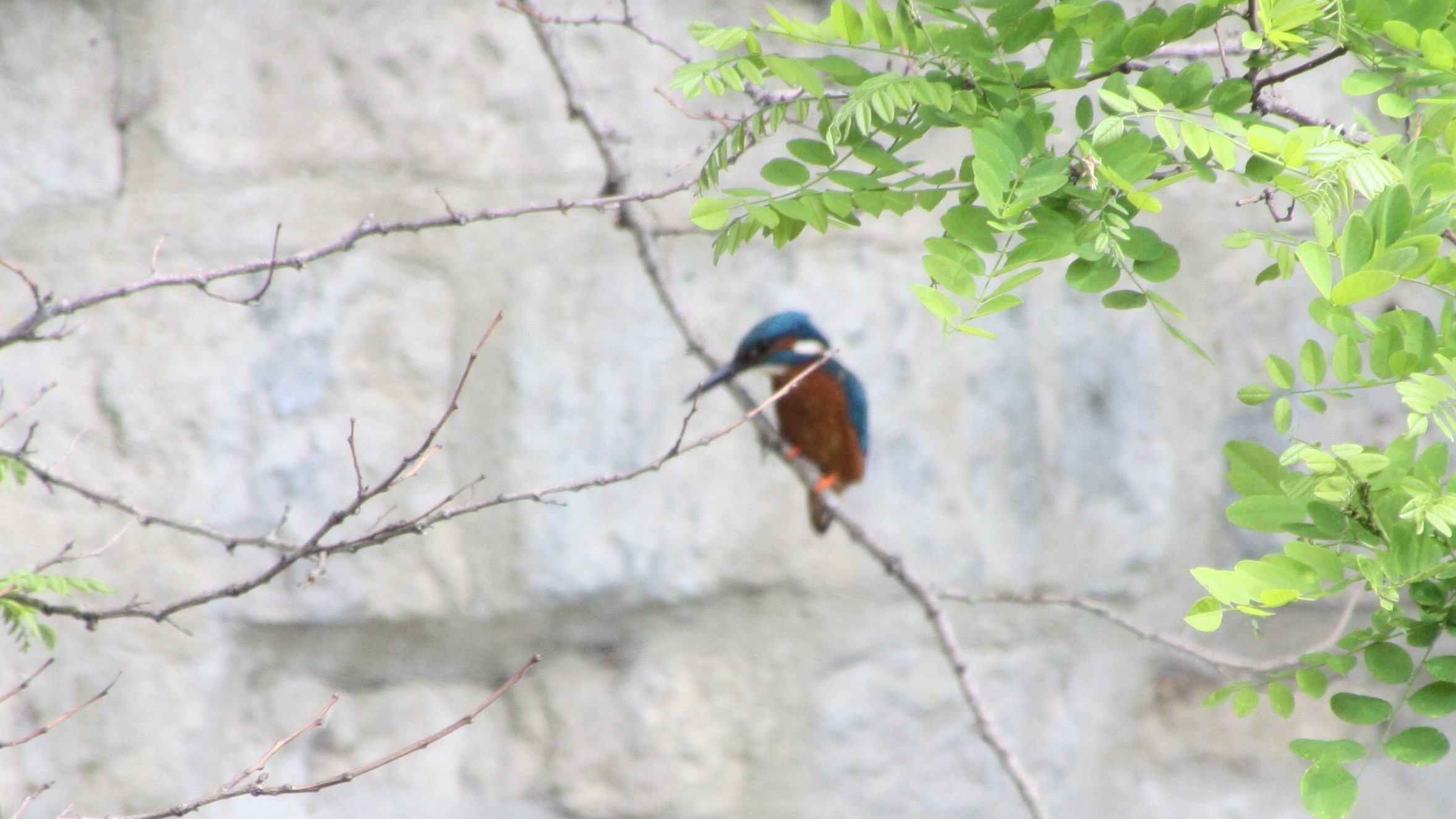 Liz Woolley Tour – SENDRA